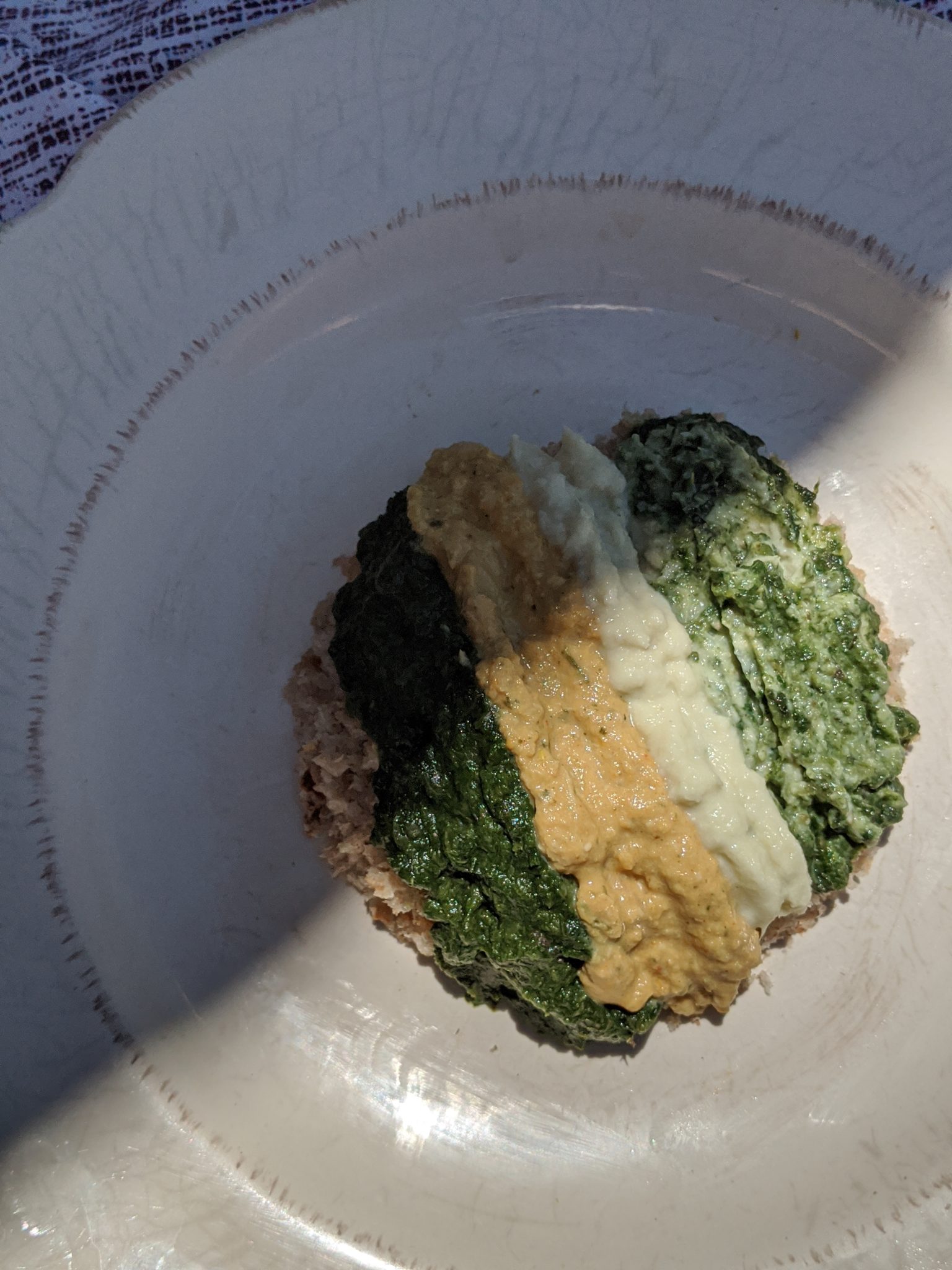 All Pureed (IDDSI Level 4) Recipes - Same Menu